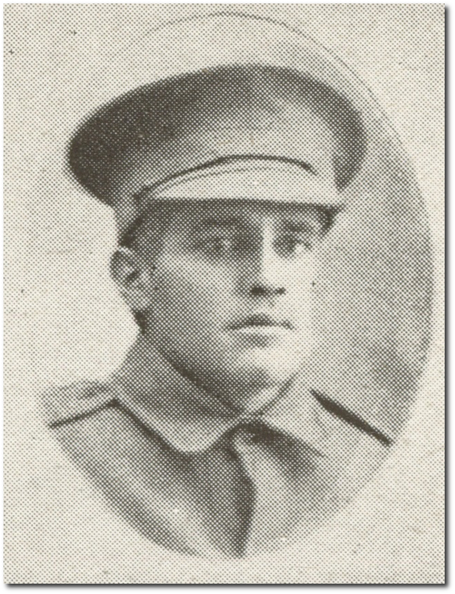 Norman BAIRD #7685A | State Library Of Queensland